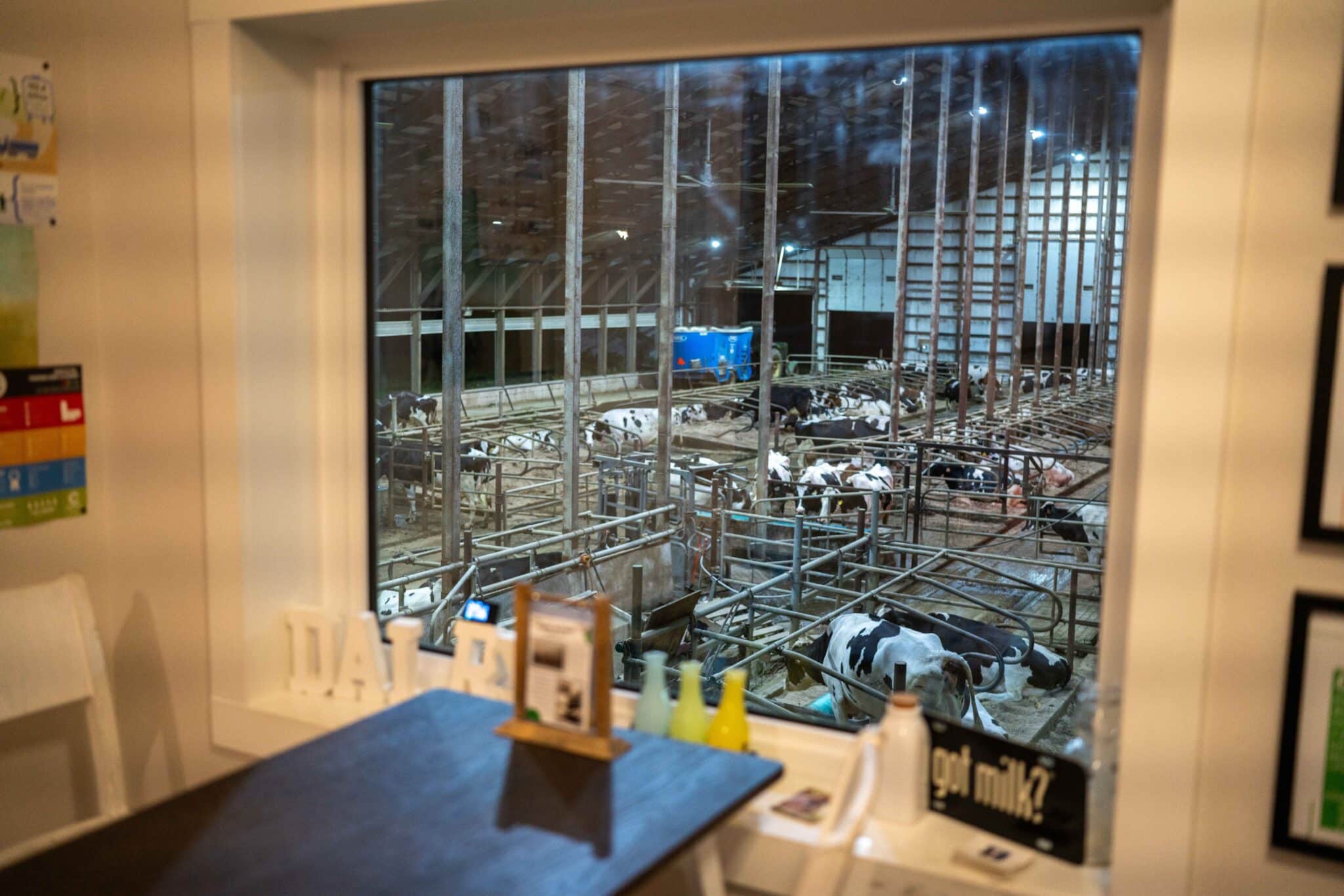 Discover the Ultimate Midwest Farm Stay: A Unique Getaway at New Day Dairy