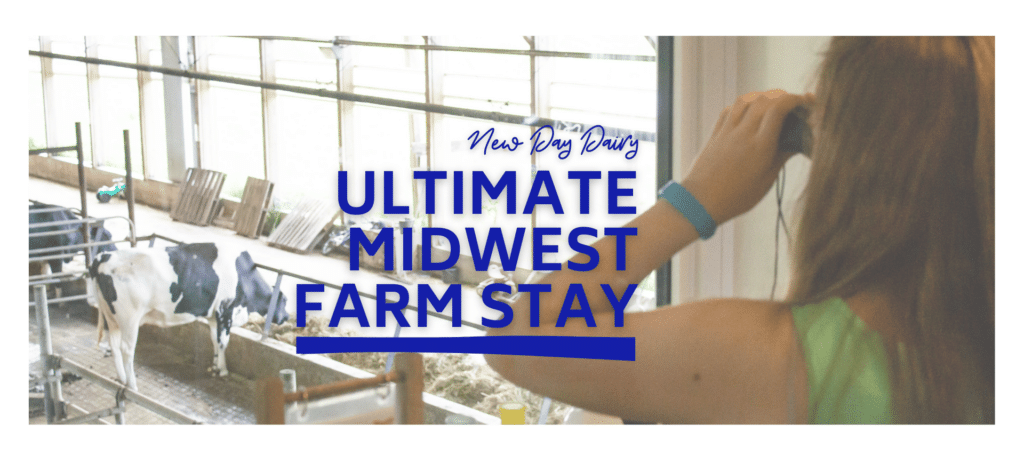 Discover the Ultimate Midwest Farm Stay: A Unique Getaway at New Day Dairy